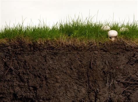 土壤图片素材 土壤设计素材 土壤摄影作品 土壤源文件下载 土壤图片素材下载 土壤背景素材 土壤模板下载 搜索中心