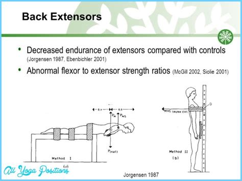 Back Extensor Endurance Test