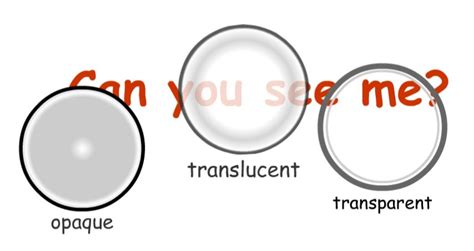Transparent Translucent Opaque Th Th Grade Quiz Quizizz