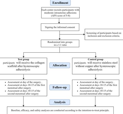 Role Of The Collagen Scaffold In Preventing Intrauterine Adhesion From Recurrence After