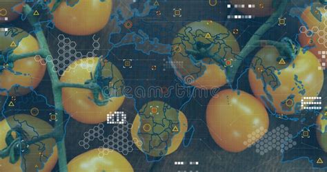 World Map Fading In Over Tomato Cluster Overlays Scanning Halved