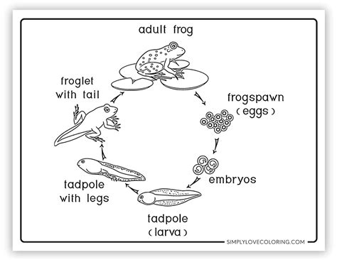 Tadpole Coloring Pages Free PDF Printables Simply Love Coloring
