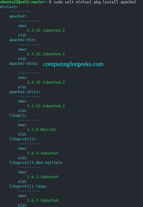How To Install Salt Master And Minion On Ubuntu 2204 Computingforgeeks