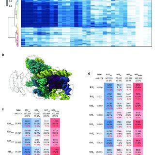 The Movements Of The Different Structural Blocks Are Correlated A Download Scientific