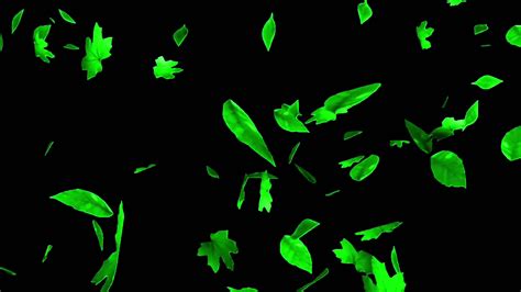 Falling Leaf Overlay 49468869 Stock Video At Vecteezy