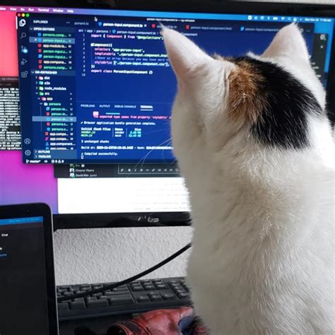 Matt Mullis On Linkedin Javascript 100daysofcode 100daysofcodechallenge Webdeveloper