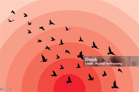 흰색 배경에 스펙트럼 색상 프리즘 삼각형 비행 조류 실루엣 벡터 그림입니다 고립 된 새 비행 문신과 벽지 배경 디자인 0명에 대한 스톡 벡터 아트 및 기타 이미지 Istock