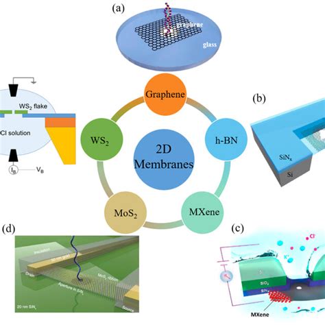 2d Materials Of Solid State Nanopore And Its Supporting Structure A