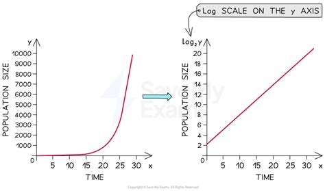 Population Growth Curves Skills Dp Ib Biology Revision Notes 2023