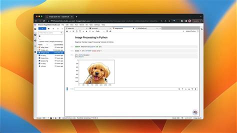 Image Processing In Python 1 Read And Show Images In Python Jupyter Notebook Youtube