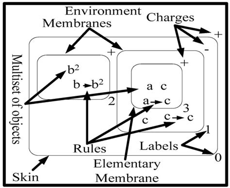 Processes Free Full Text A Representation Of Membrane Computing
