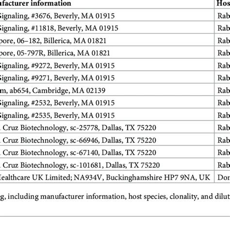 Summary Of Western Blot Antibodies Download Table