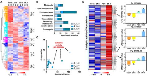 Multivariate Analysis And Functional Classification Of Differentially Download Scientific