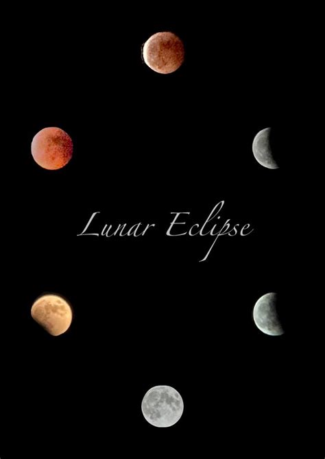 익스트림무비 달 표면까지 잡아내는 갤럭시…비법은 ‘달고리즘