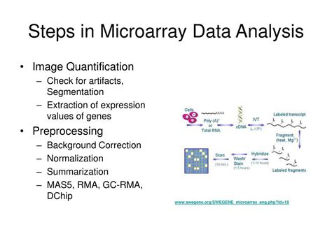 PPT MDMS A Web Tool To Manage Analyze Gene Expression Microarray Data PowerPoint