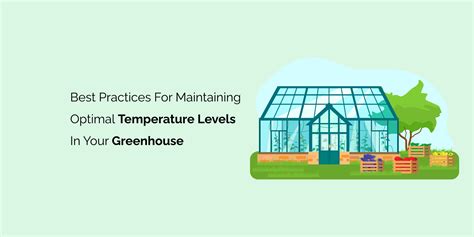 Best Practices For Maintaining Optimal Temperature Levels In Your Greenhouse Tempcube