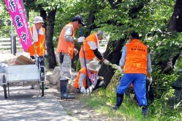 千亀橋から見る桜はとてもきれい桜が散って五条川を流れる花いかだがとってもきれい 岩倉市