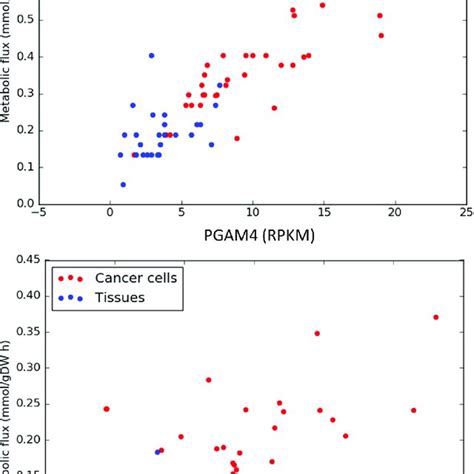 Expression Levels And Predicted Metabolic Fluxes Expressed In