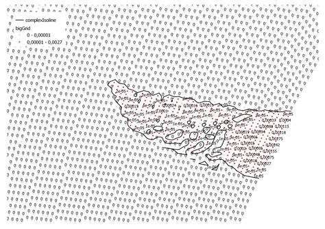 Something Strange With Isoline In Version Incorrect Hyperbola Ambiguity Processing In