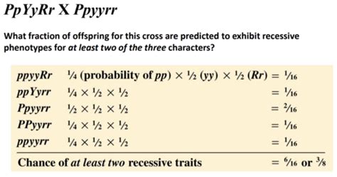 Bio Mendelian Inheritance Ii Flashcards Quizlet