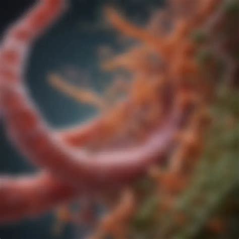 Understanding C Difficile Toxin A And B Insights