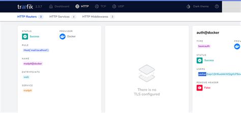 Having Trouble To Setup Basicauth Traefik V2 Traefik Labs Community Forum
