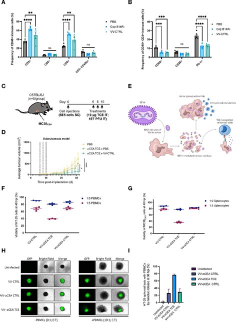 Figure 2 From Oncolytic Virus Driven T Cell Based Combination Immunotherapy Platform For