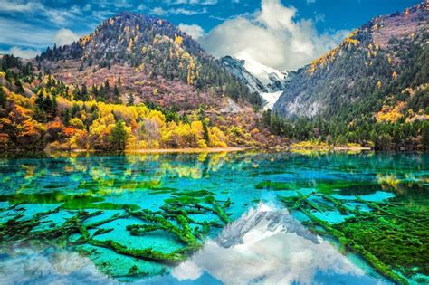 九寨沟湖泊图片 湖泊简笔画 湖泊图标 大山谷图库