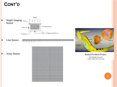 Quantization And Sampling Presentation Ppt PPTX