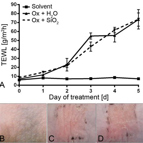 Dispersion Characteristics Of Ahaps Sio2 Nanoparticles Transmission