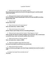 Understanding The Lymphatic System Structures Functions And Course Hero