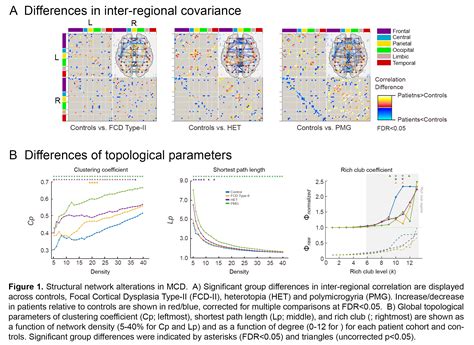 Multimodal Connectome Organization Across The Spectrum Of Cortical