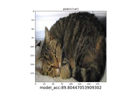 Github Comfy Recmulticlassification Multi Classification