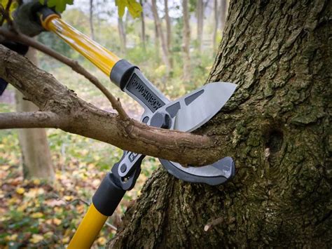 Roughneck Xt Pro Bypass Loppers 750mm Carey Tools