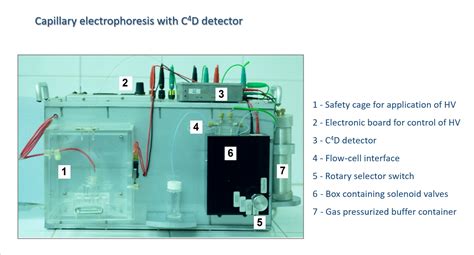 Low Cost And Versatile Analytical Tool With Purpose Made Capillary Electrophoresis Coupled To