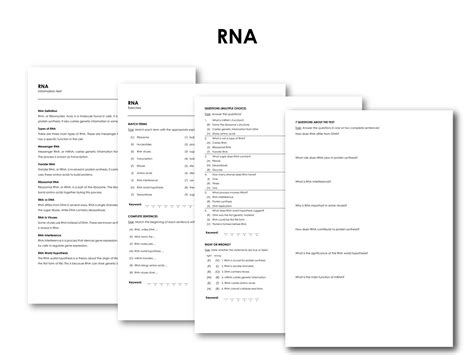 RNA Made By Teachers
