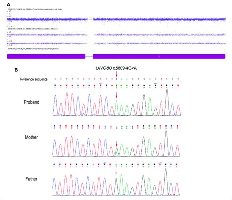 A Single Nucleotide Polymorphism Microarray Snp Array Affymetrix Download Scientific