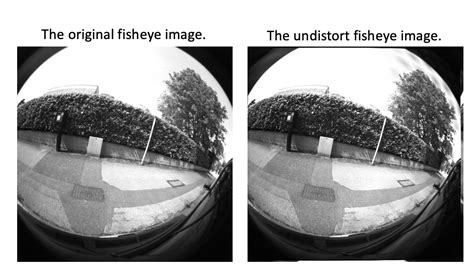 Apply The Distortion Model With Kalibr Issue Ethz Asl Kalibr GitHub