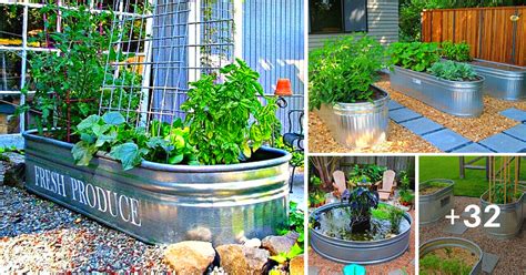 รวม 35 ไอเดีย “diy ถังสเเตนเลส” สุดสร้างสรรค์ สำหรับปลูกผักจัดสวน