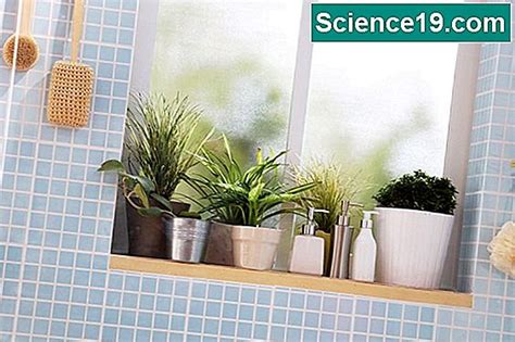 Πώς να υπολογίσετε τη γωνία από την αμαρτία Επιστημονική Και Δημοφιλή Ιστοσελίδα Πολυμέσων