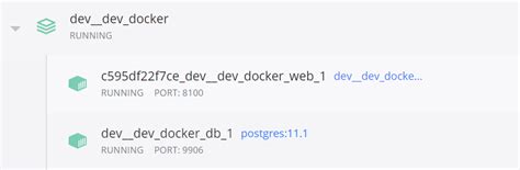 Cant Get Multiple Db Connections Working For Docker Dev Target Please