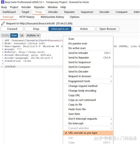 【2023最新版】超详细burp Suite安装保姆级教程，burp Suite的基本介绍及使用，收藏这一篇就够了 知乎