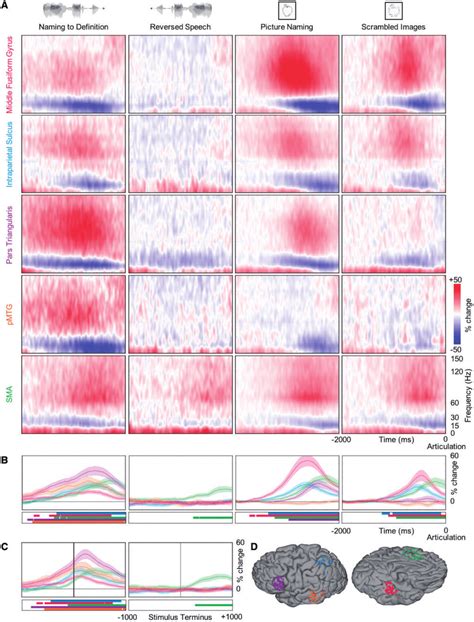 Temporal Dynamics Of Lexical Semantic Network Spectrotemporal Download Scientific Diagram