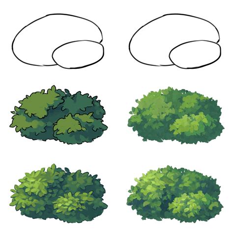 From Novice To Pro Foliage Guide