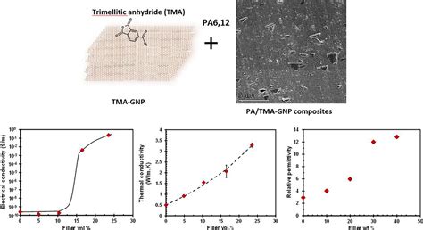 High Performance Compatibilized Polyamide Composites Containing Graphene Nanoplatelets And