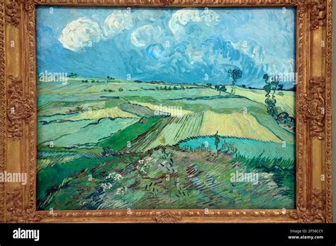 A Closed Up View Of Vincent Van Goghs Wheat Fields After The Rain 1890