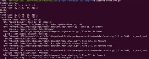 Dimension Mismatches Occur When Moving A YoloV Trained Model Into Someone Else S YoloV Issue
