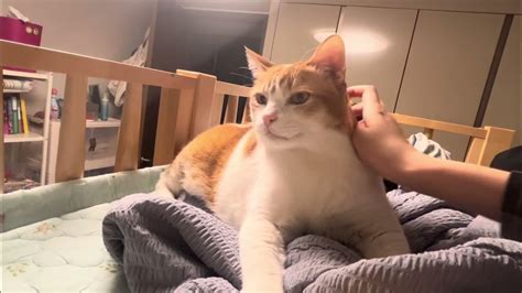 죄송한 마음을 담아~ 대범이 모음집 Youtube