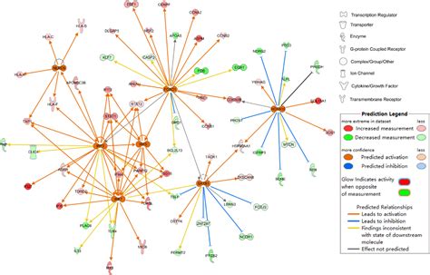 G2 M Checkpoint Semantic Scholar