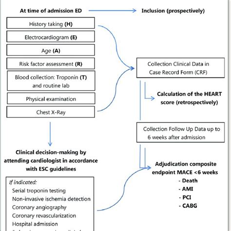 Heart Score Algorithm Heart Score For Chest Pain Patients At The